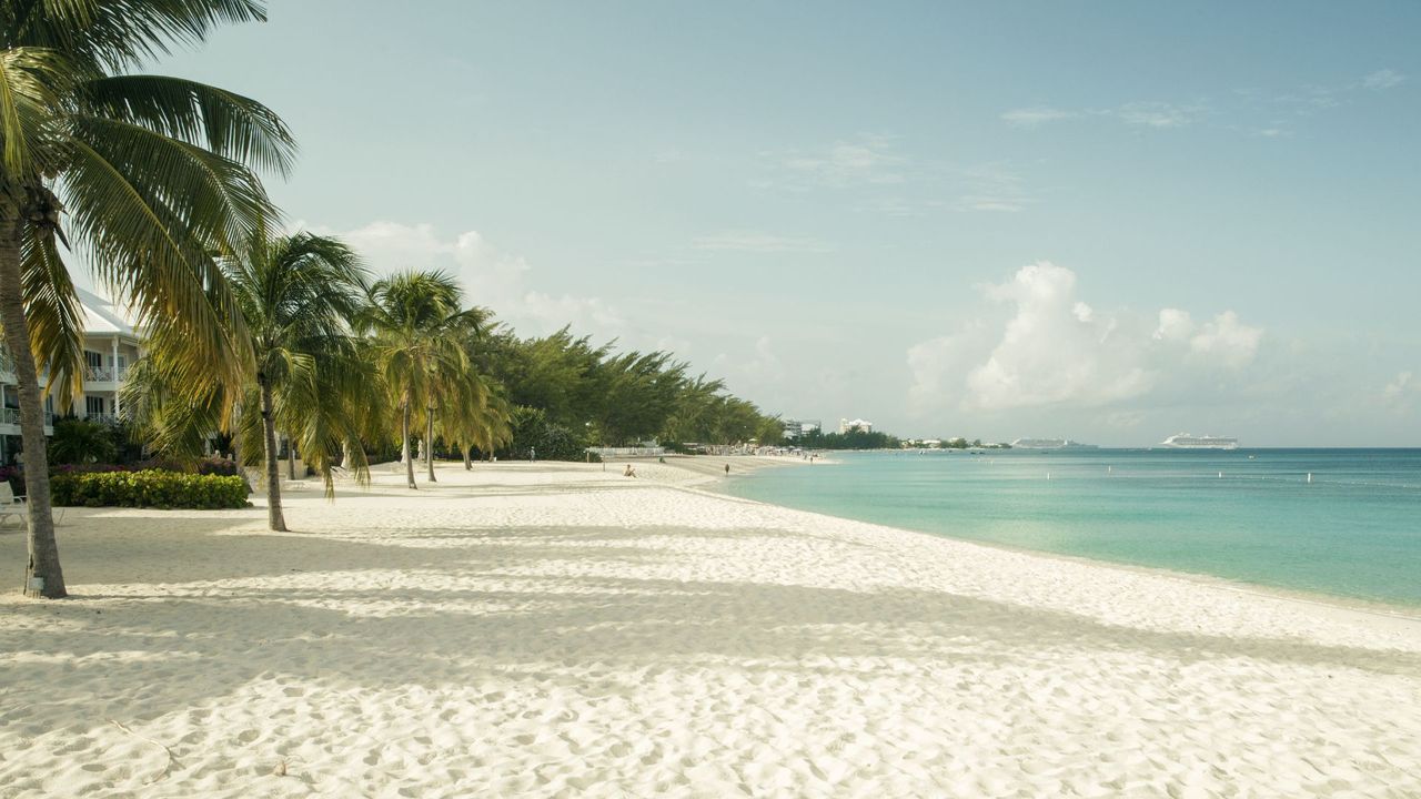 Third Point launches Malibu Life Re in Cayman | Bermuda Re