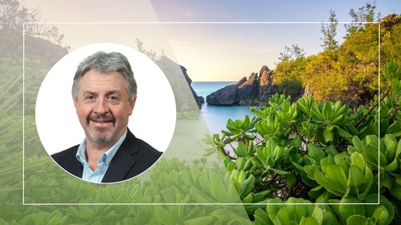 Conduit net income jumps 24.8% | Bermuda Re