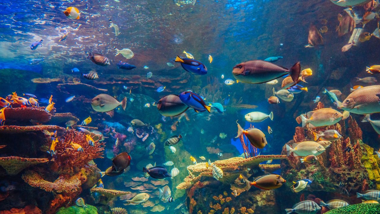 Championing diversity in all its senses | Bermuda Re