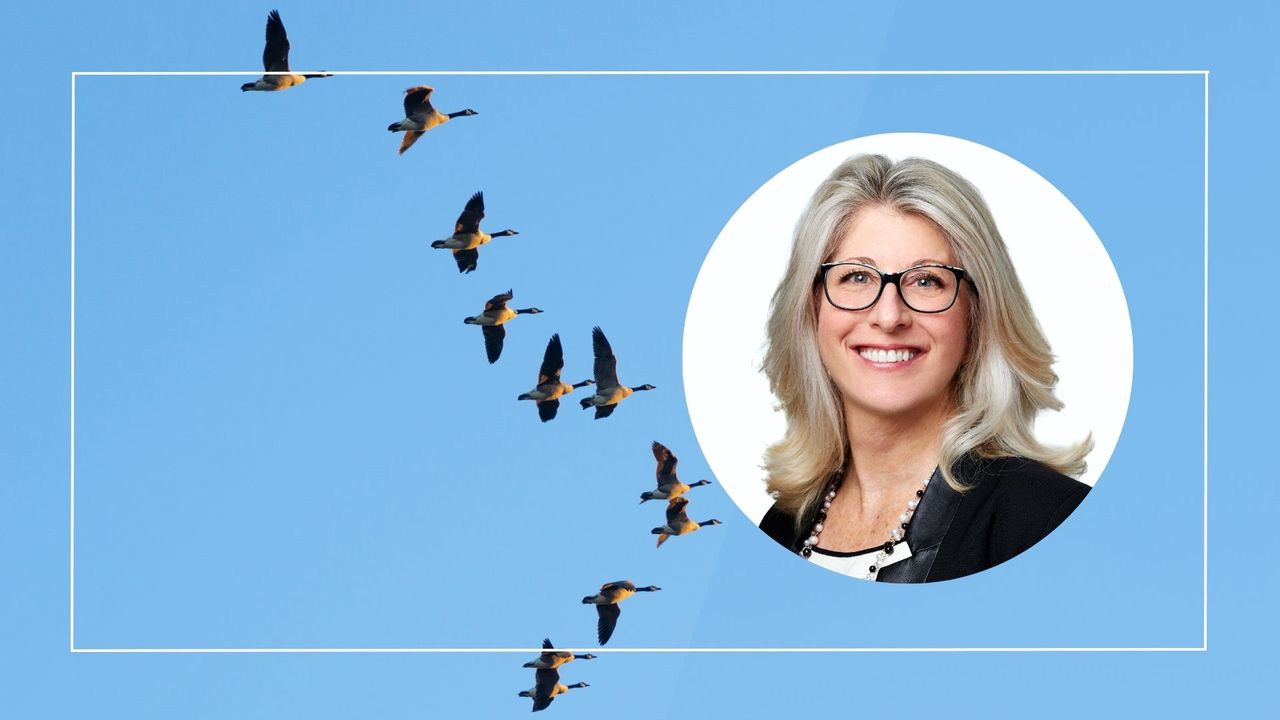 Underwriting discipline is the key | Bermuda Re