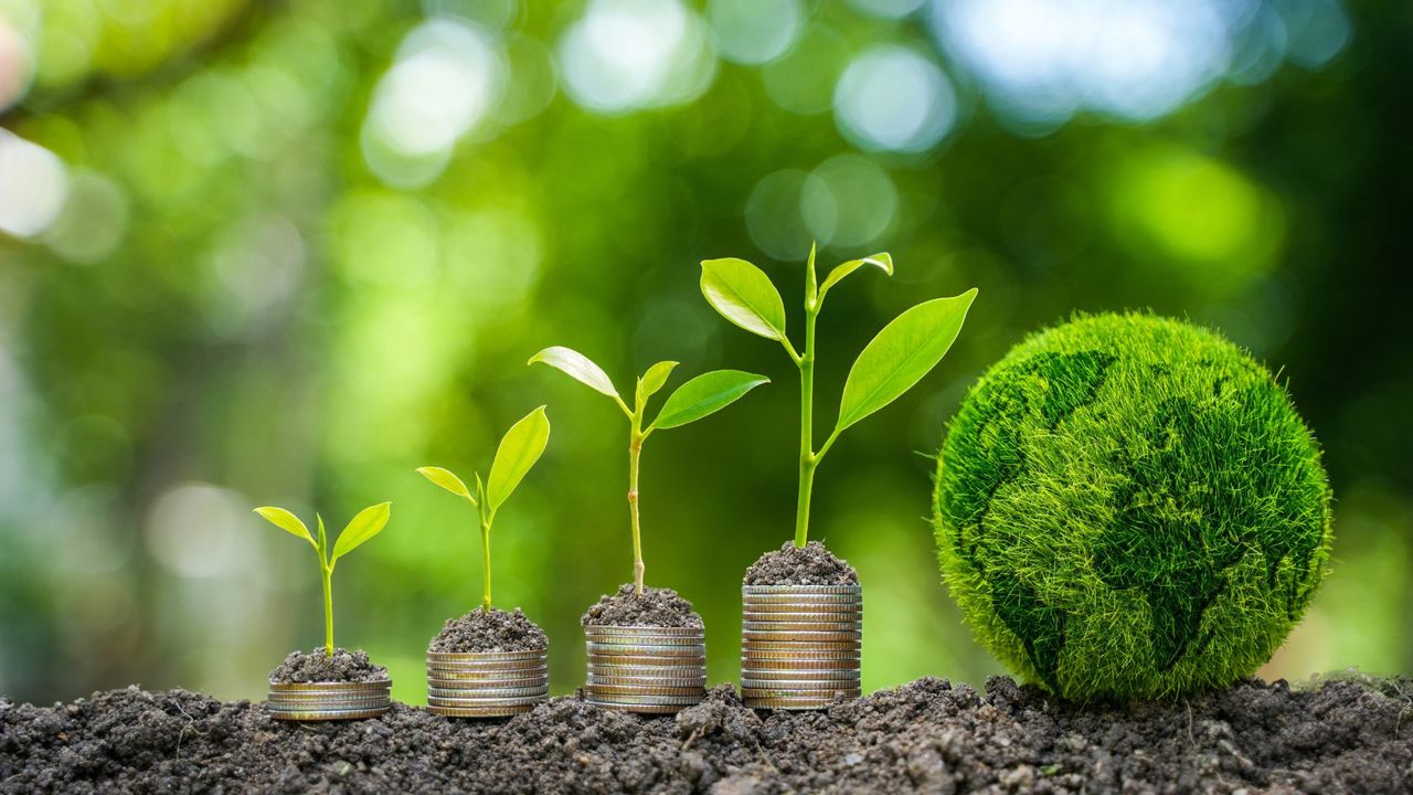 Chaucer names Jordan Ray head of renewable energy | Bermuda Re